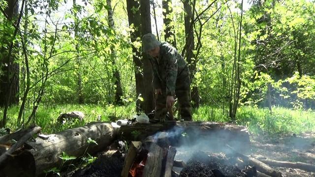 Пила которая действительно пилит.