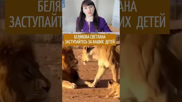БЕЛЯКОВА СВЕТЛАНА. ЗАСТУПАЙТЕСЬ ЗА ВАШИХ  ДЕТЕЙ (НА ПРИМЕРЕ ВИДЕО СО ЛЬВАМИ).