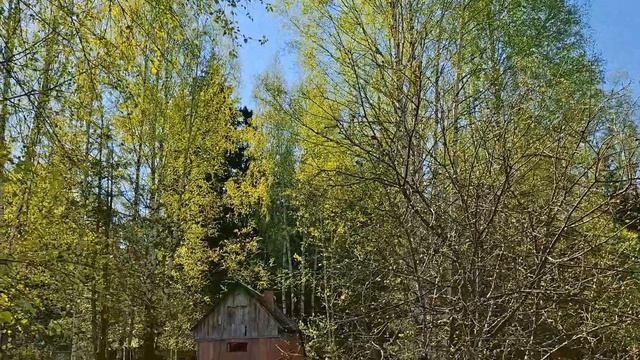 Видеоосмотр - вид дома с улицы, участок, дорога к дому. п.Мезиновский, ул.Маяковского, Владимирская.