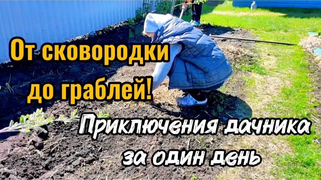 От сковородки до граблей! Приключения дачника за один день.