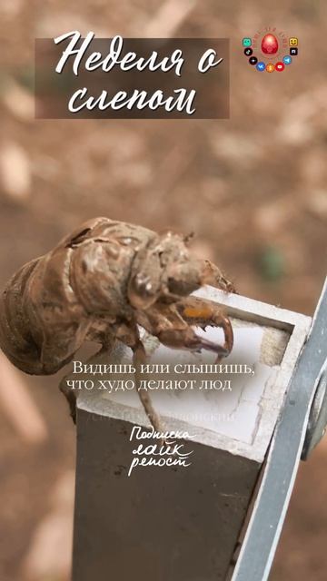 Иногда полезно быть глухим и слепым...