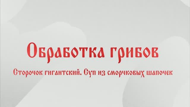 Обработка грибов. Весенние лесные щи