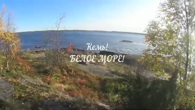 РЫБАЛКА НА СЕВЕРЕ! ВОТ ЭТО ПОВОРОТ! СИГИ ПОШЛИ! НАЛОВИЛ РАКОВИНУ!