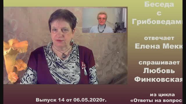 Про весенние грибы.  Беседа с Грибоведами №14 от 6 мая 2020 года.