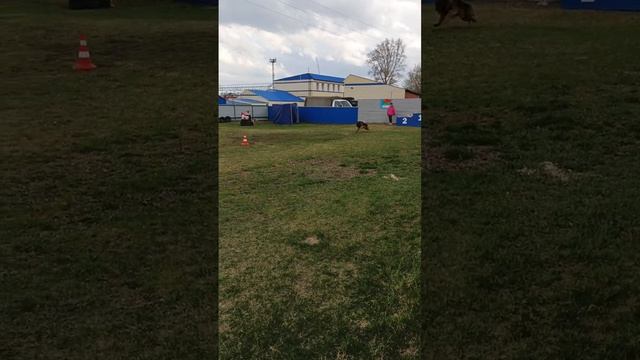 1.  выражено/пож НАБАТ ИЗ КЕМЕРГРАДА (Bolt del Colle Guasco – Житана из Кемерграда)