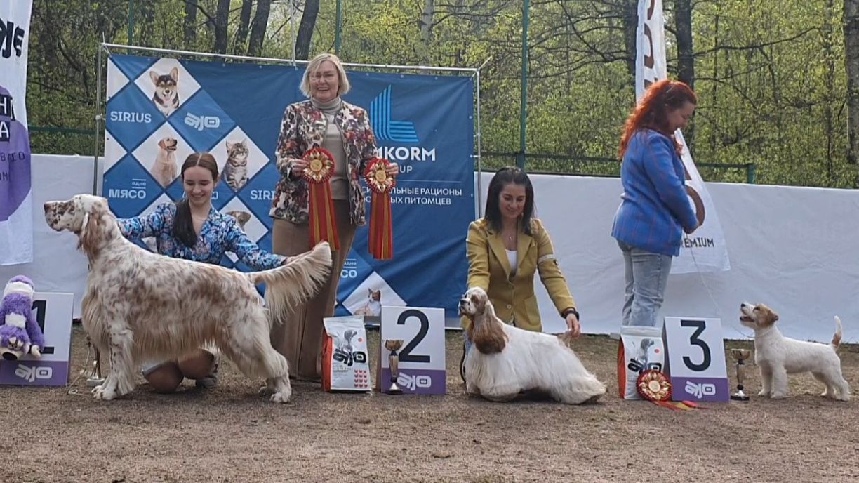 10.05.2026, СПб. Клуб "Кеннел-Клуб СПб-2". Выставка собак всех пород "ВЕСНА-2026" (САС, ЧРКФ)