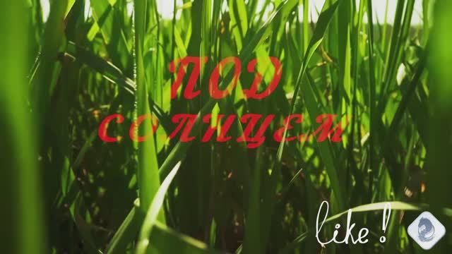 #ПодСолнцем#Видеоklass#ЖаннаДаценко#НаВолнеМелодии#МузыкаДуши#МирПрекрасен#