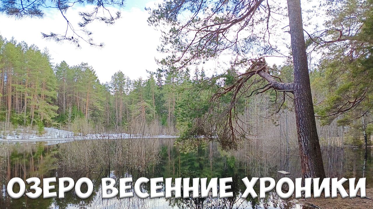 Весенние хроники озера_3