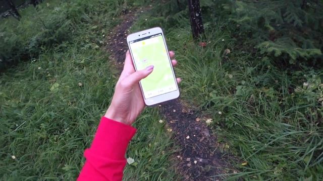 019 КРАСНОЯРСКИЕ СТОЛБЫ. МАЛОИЗВЕСТНЫЕ СКАЛЫ.mp4