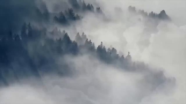ТАЙГА_ Истории таёжных охотников_ Охотничьи байки.