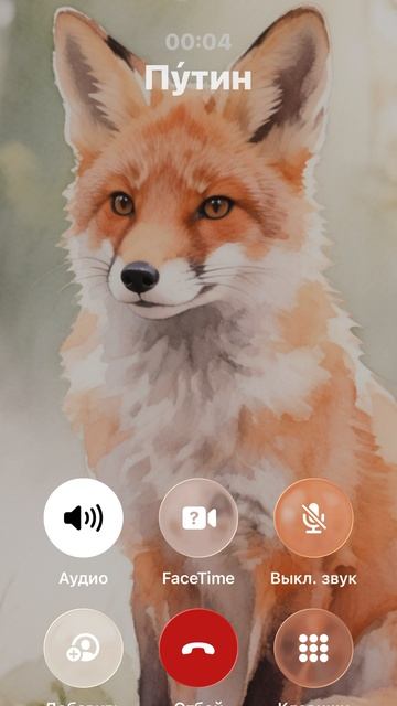 iPhone 17 Pro Max incoming call