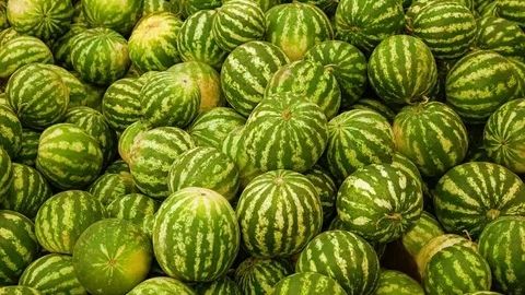 Что-то АРБУЗЫ плохо растут 🍉