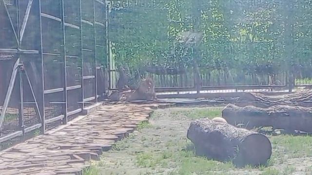-16.05.2026-Видео от Ивана
