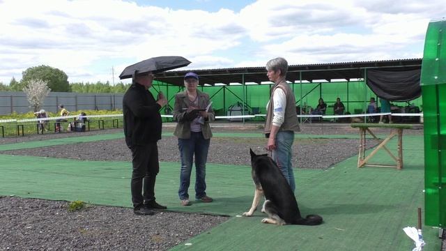 Класс ветеранов_Хард Гвард Сорбонна