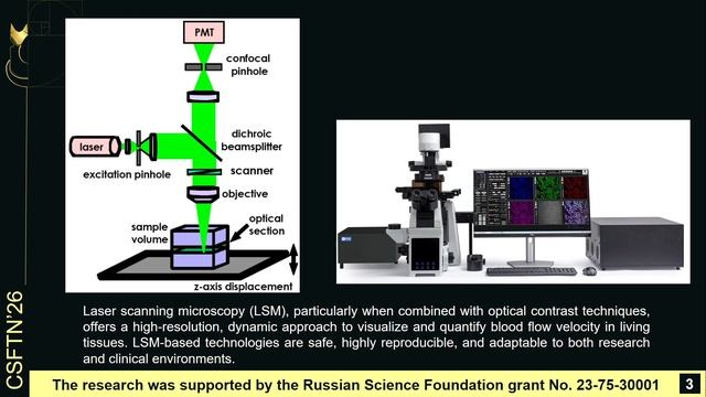 Study of blood flow velocity in blood vessels using laser scanning microscopy