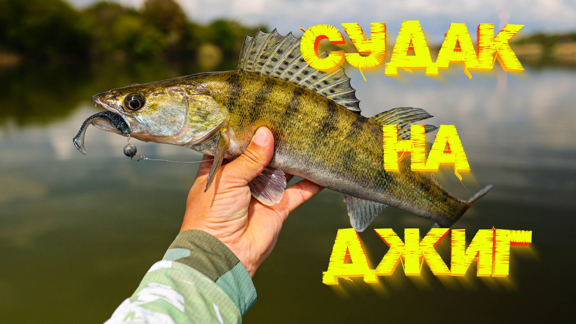 СУДАК на реке ЖРЁТ рабочую ПРИМАНКУ 💪
