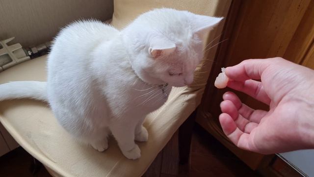 Милка поглощает индейку