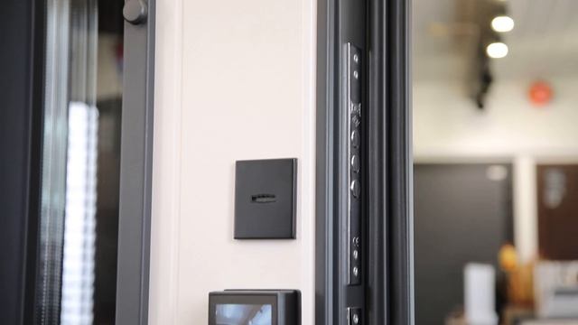 Trento с окном с биометрическим замком Smart lock DZ888