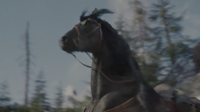 «Ведьмак 4» — Реплей трейлера в 4K HDR! Впечатления и разбор деталей