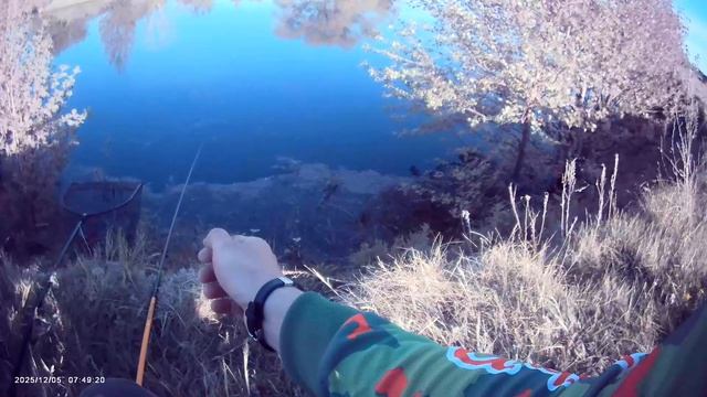 Вечерний клёв карася на деликатную оснастку🎣 Клёв хороший.