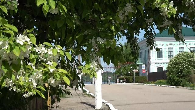 🤩Мариинский Посад📹"Весенние выходные дни"