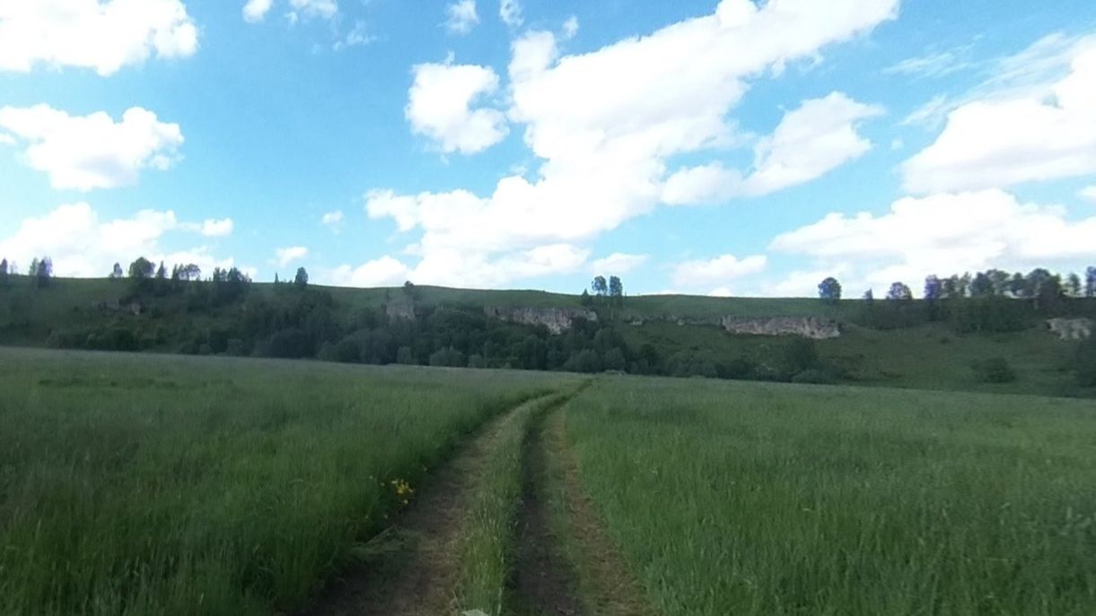 360. Панорама.Поездка в  Пижемский заказник