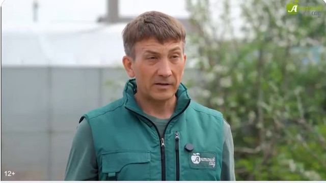 Подкормите клубнику бором!