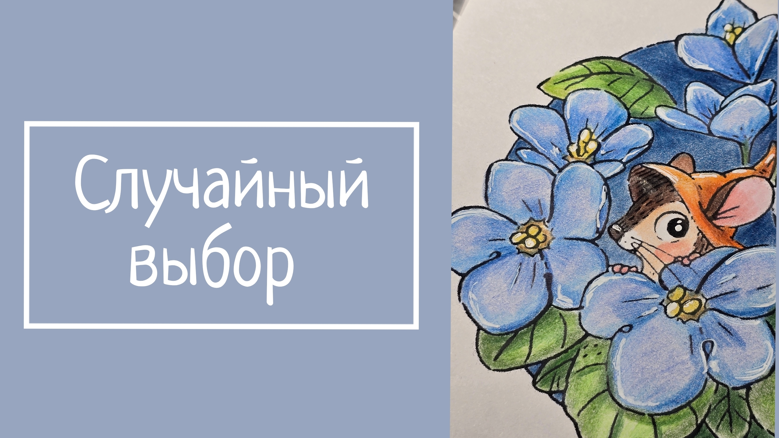 СЛУЧАЙНЫЙ ВЫБОР