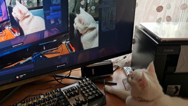 Милка смотрит видеоинструкцию