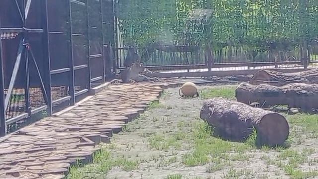 KHZQ7930-16.05.2026-Видео от Ивана
