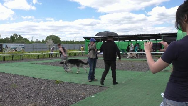 Каспер Кайс с Печатью Велеса