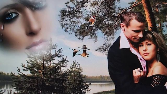 ВАСЯ ПОПОВ ПОЁТ ОДНУ ИЗ СВОИХ ЛЮБИМЫХ ПЕСЕН =СТОЯЛА ЧУДНАЯ СОСНА= ПОД ГАРМОНЬ =ЧАЙКА=