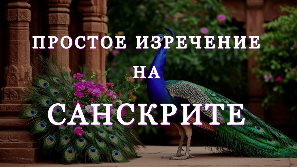 Читаем на санскрите изречение о шести родственниках