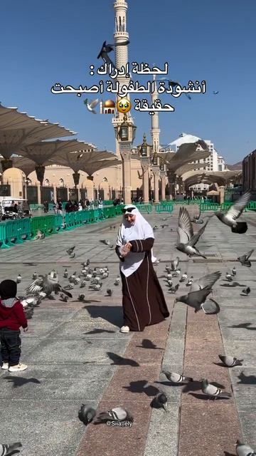 🕊️ «Пусть Аллах дарует каждому тоскующему скорое посещение Тойбы — города Посланника Аллаха ﷺ»