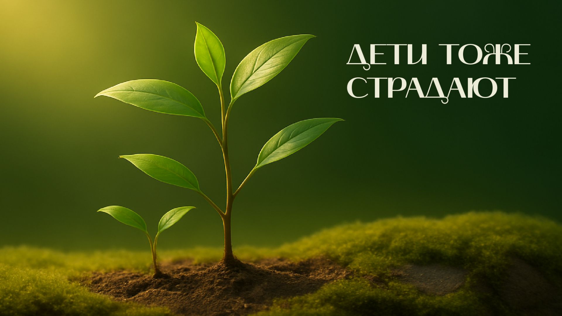 Дети тоже страдают | Древо жизни