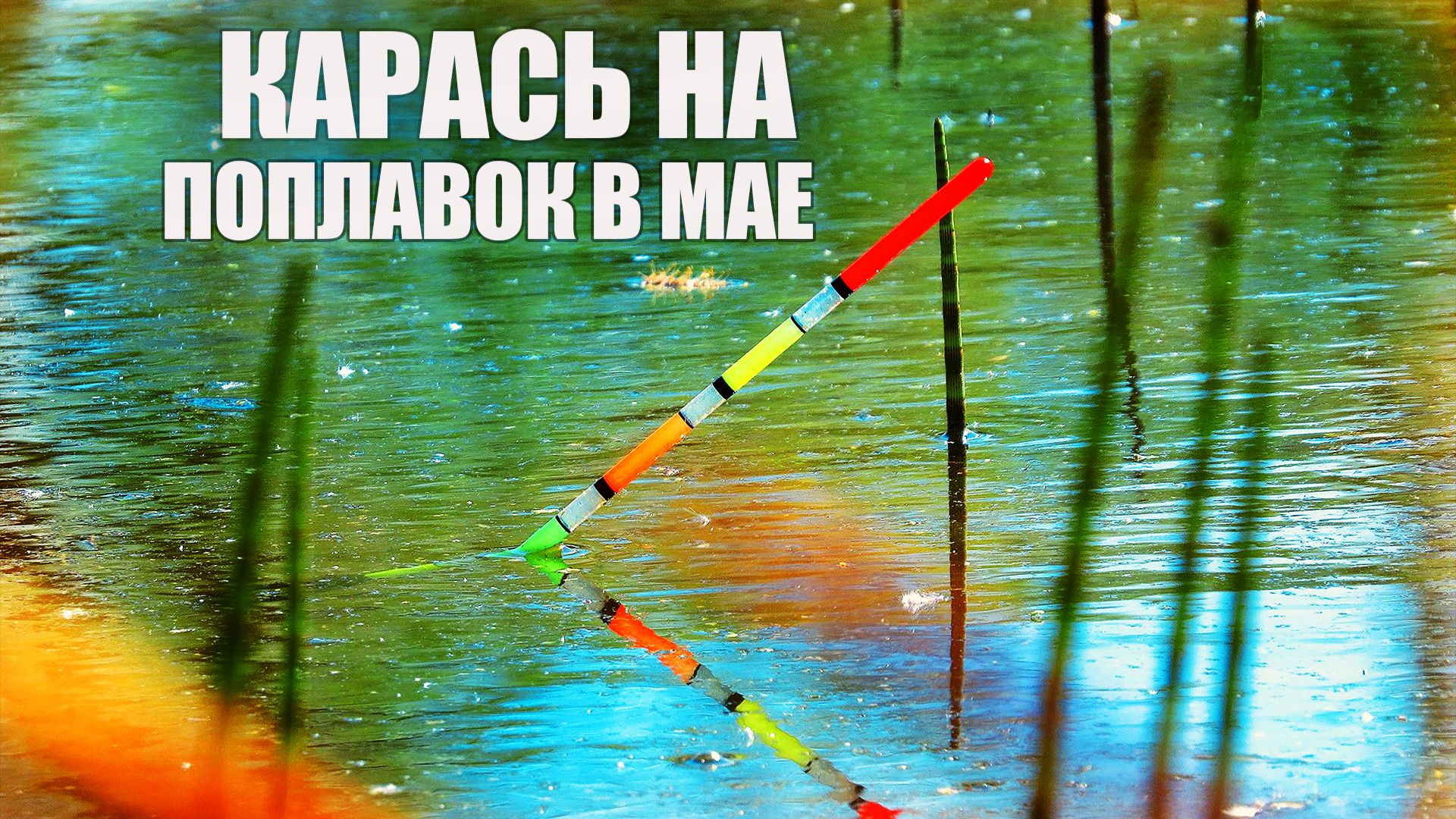 Карась на утренней зорьке. Рыбалка в мае, на поплавочную удочку. На пруду
