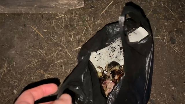 СНИМАЮ НОЧЬЮ В ДЕРЕВНЕ НА АЙФОН 17 В МАКСИМАЛЬНОМ КАЧЕСТВЕ.