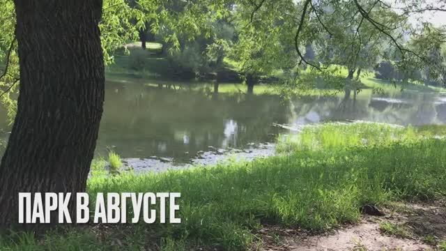 Парк в августе