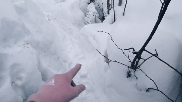 020 ПЕРВЫЙ ЛЫЖНЫЙ ПОХОД. ЗАМУЧИЛАСЬ ПАДАТЬ!.mp4