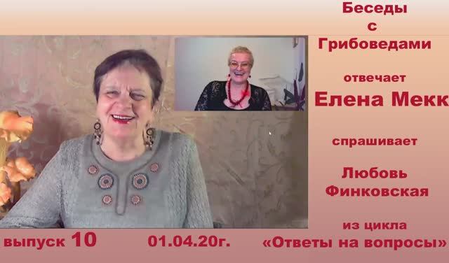 Беседы с Грибоведами № 10  Вопросы и ответы
