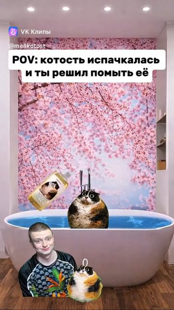 Котость