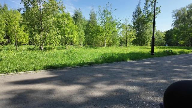 АСМР Звуки городского парка, ветерок Park ASMR, gentle wind