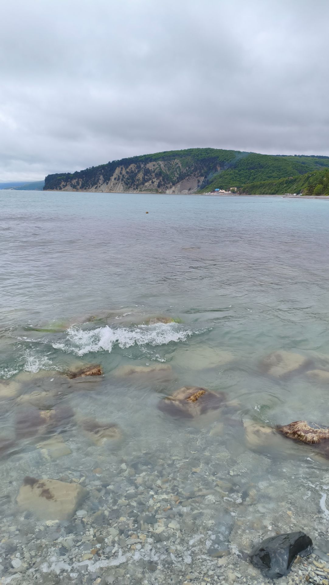 Звуки черного моря 2026