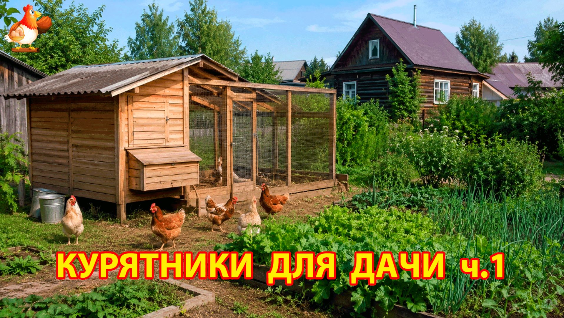 Варианты курятников для дачи и сада – идеи для удобного содержания кур (1)