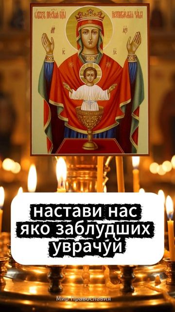 Молитва пред иконой Неупиваемая Чаша