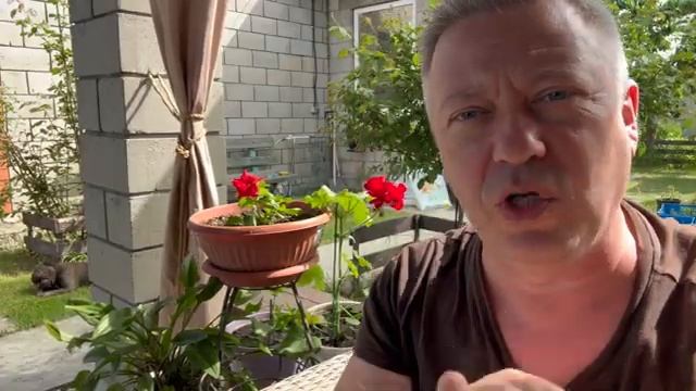 Жизнь вне орхидей - прям ирония судьбы - ПЛАНИРУЮ одно а приходится тратить жизнь на ДРУГОЕ