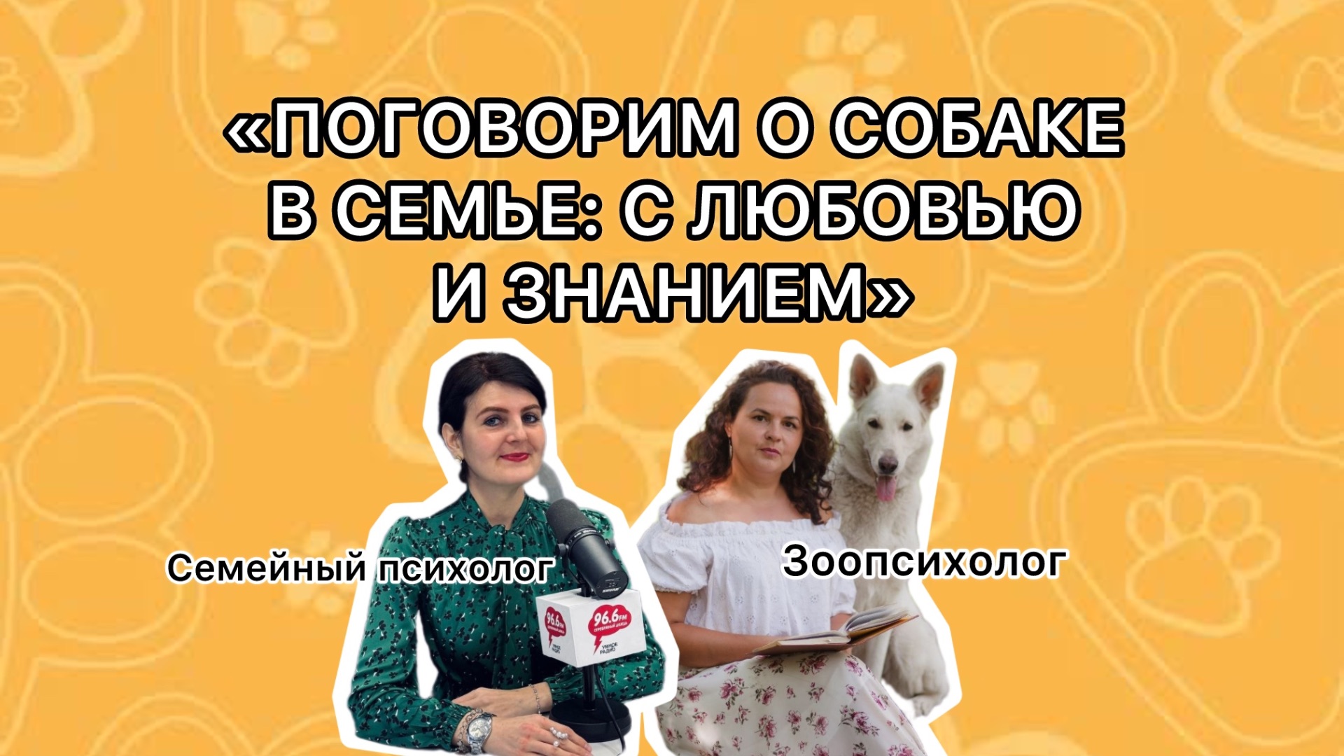 - мама, я хочу собаку! «Поговорим о собаке в семье: с любовью и знанием».