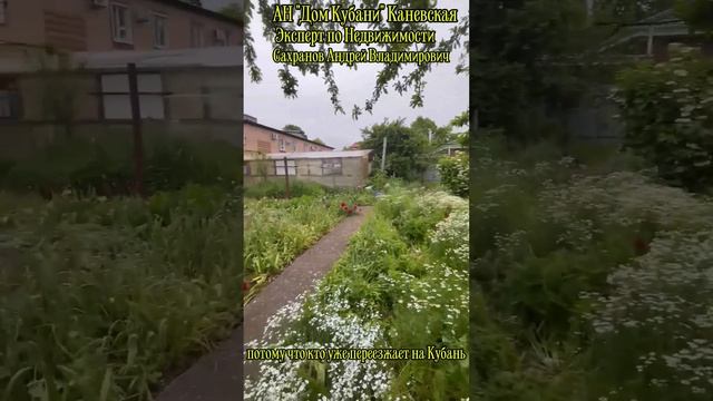 АН "Дом Кубани" Каневская Таманская 124 , Эксперт по Недвижимости Сахранов Андрей Владимирович