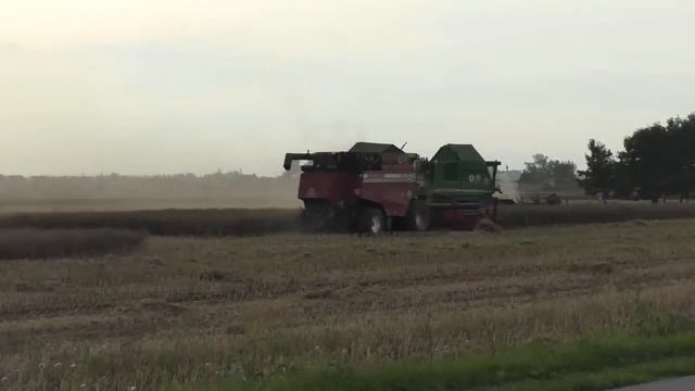 Масштабная уборка рапса 2025 Гомсельмаш PRO, Палессе и John Deere в ОАО Журавлиное!(Взято из Ютуба)