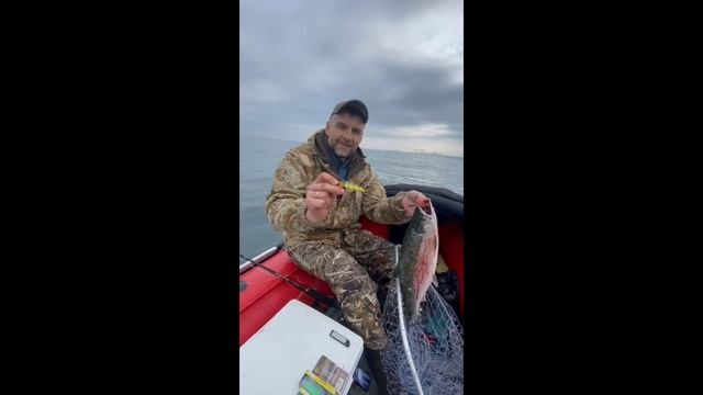 Сима на троллинговую блесну №140 от Mr.Musurok 🔥